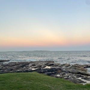 Relay For Life - poppy surridge